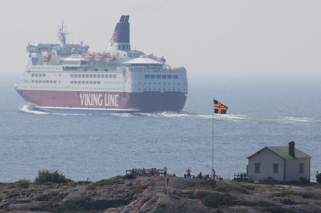 Picture of the week: Amorella